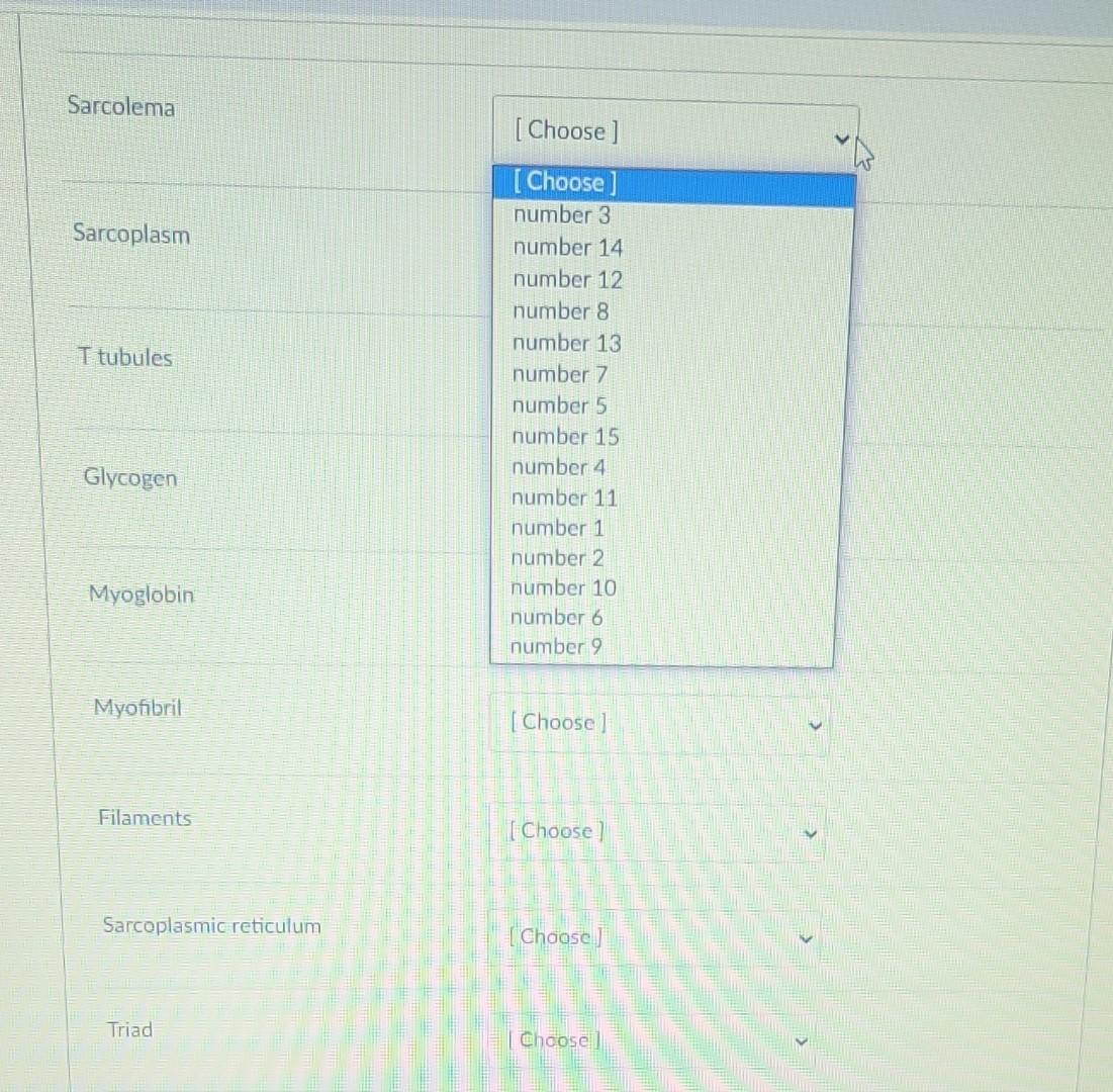 Solved Match the terms to their definition/function. 1) | Chegg.com