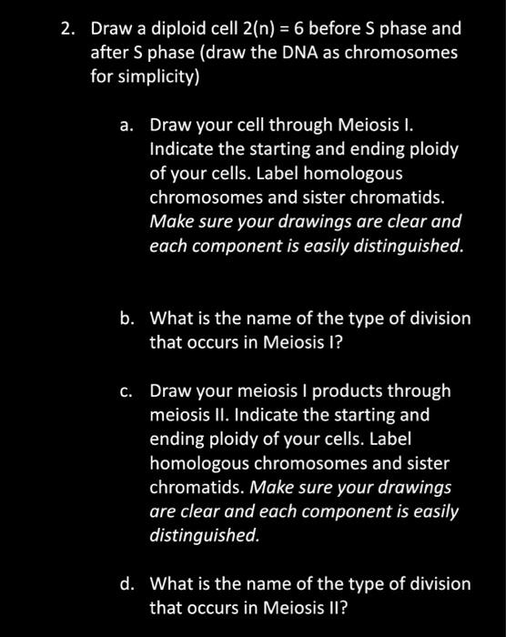 Solved 2. Draw a diploid cell 2(n) = 6 before S phase and | Chegg.com