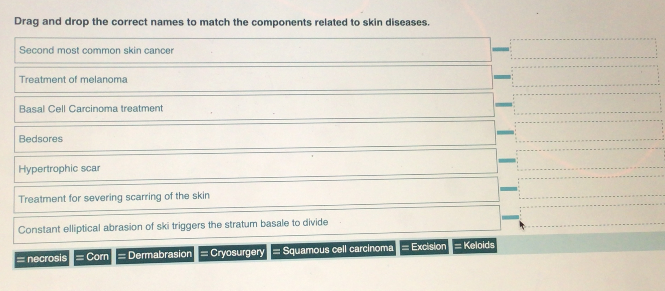 Solved Drag and drop the correct names to match the | Chegg.com