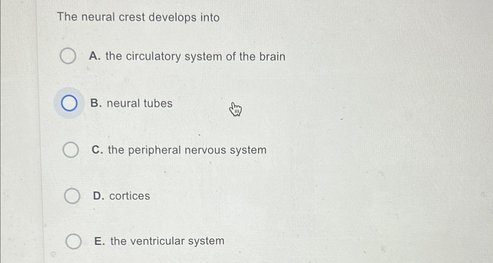 Solved The neural crest develops intoA. ﻿the circulatory | Chegg.com