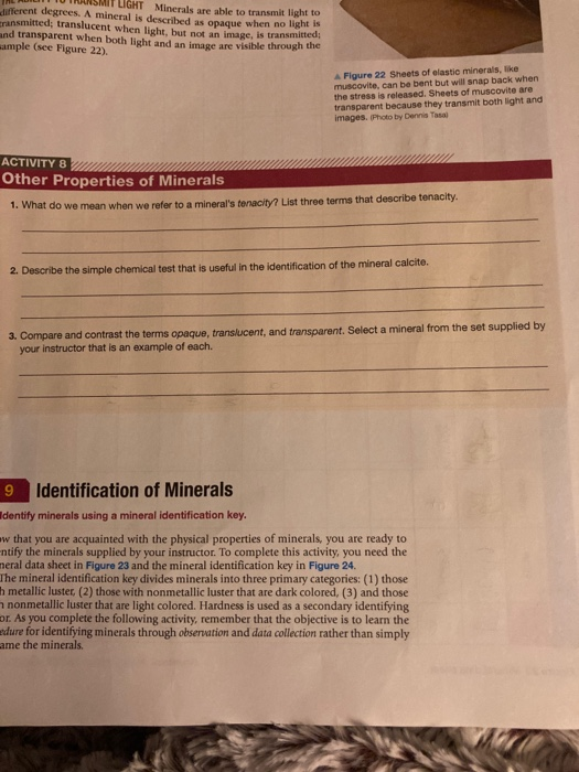 Solved LIGHT Minerals are able to transmit light to | Chegg.com
