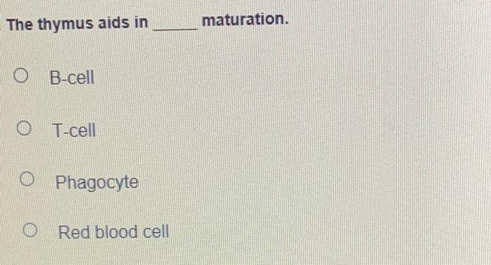 Solved The thymus aids in maturation. B-cell O T-cell | Chegg.com