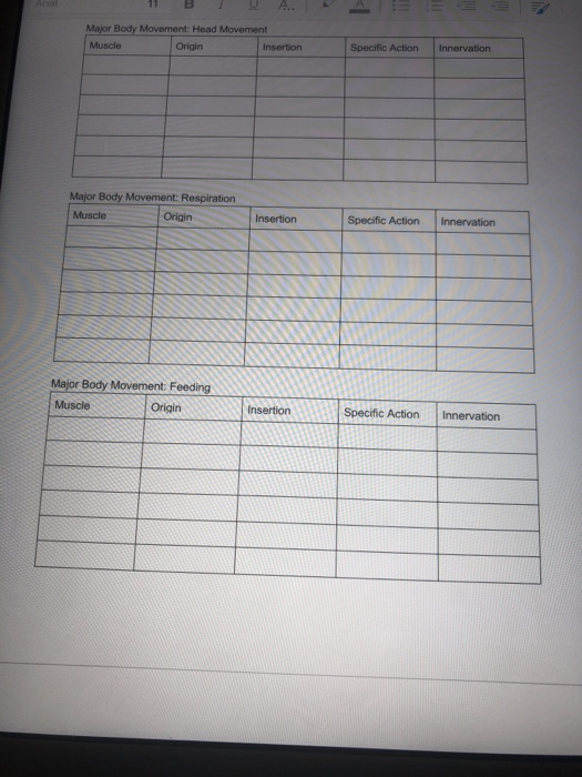 Solved Muscles Worksheet Axial & Cranial It is important to | Chegg.com