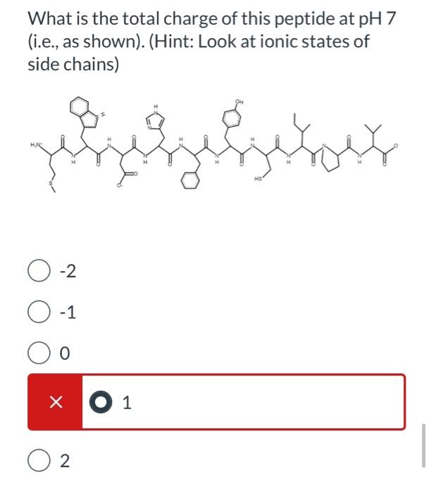 Solved What is the total charge of this peptide at pH7 | Chegg.com