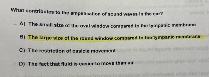 Solved What contributes to the amplification of sound waves | Chegg.com
