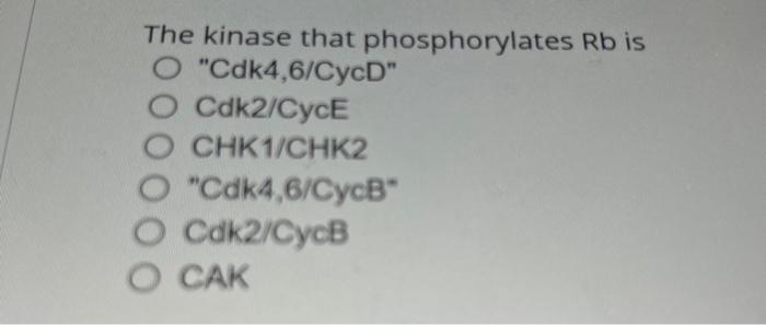 Solved The kinase that phosphorylates Rb is "Cdk4,6/CycD" | Chegg.com