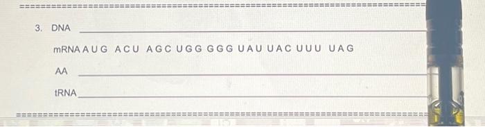 Solved 3. DNA IRNAAUG ACU AGC UGGGGGUAUUACUUU UAG AA tRNA | Chegg.com