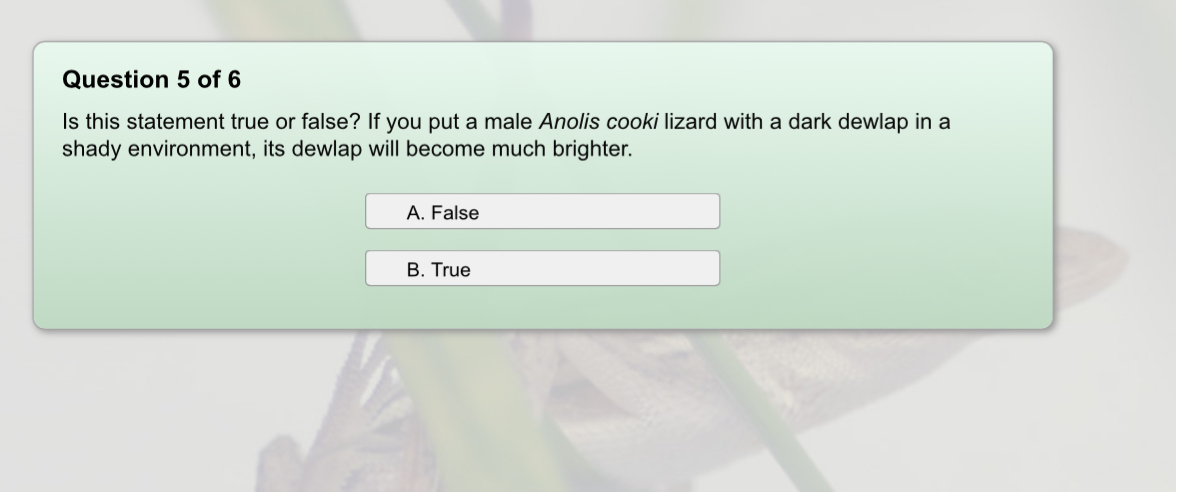 Solved Question 5 ﻿of 6Is this statement true or false? If | Chegg.com