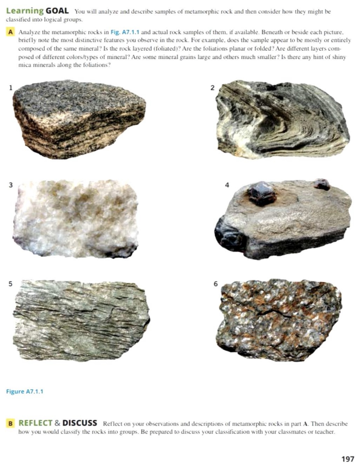 Solved Learning GOAL You will analyze and describe samples | Chegg.com
