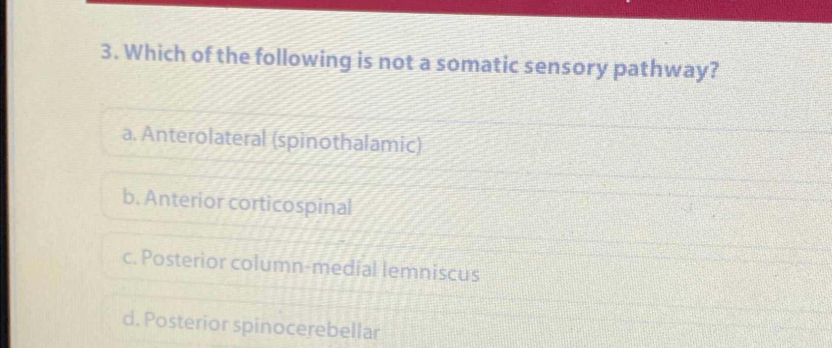 Solved Which of the following is not a somatic sensory | Chegg.com