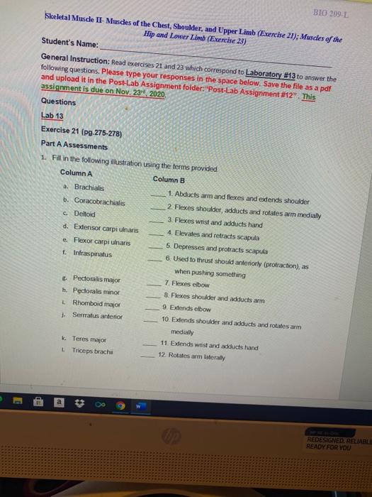 Solved BIO 209 L Skeletal Musde II- Muscles of the Chest, | Chegg.com