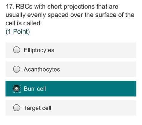 Solved RBCs with short projections that are usually evenly | Chegg.com
