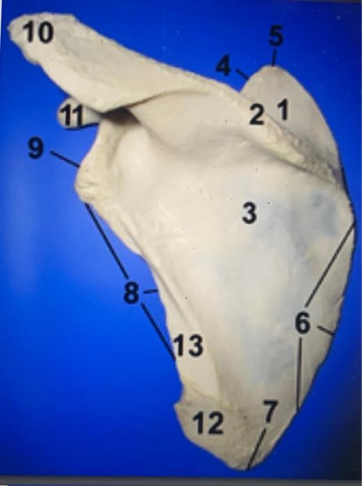 Solved 10 5 | Chegg.com