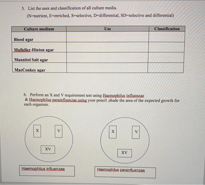 Solved 1. Sketch the four-way streak for isolation. Your | Chegg.com
