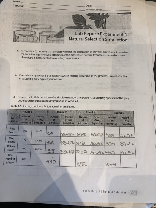Laboratory 9 UUUUUUUUUUUUUUUUUUUUUuto Natural | Chegg.com