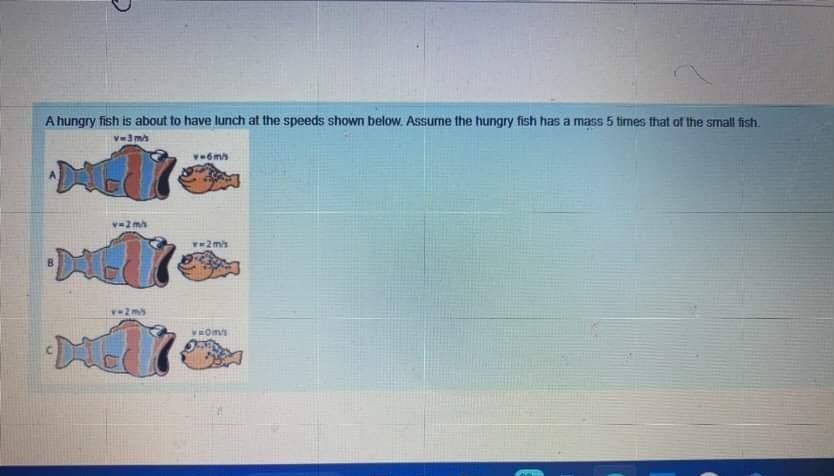 Solved d Rank 6.5 Greatest =A hungry fish is about to have | Chegg.com