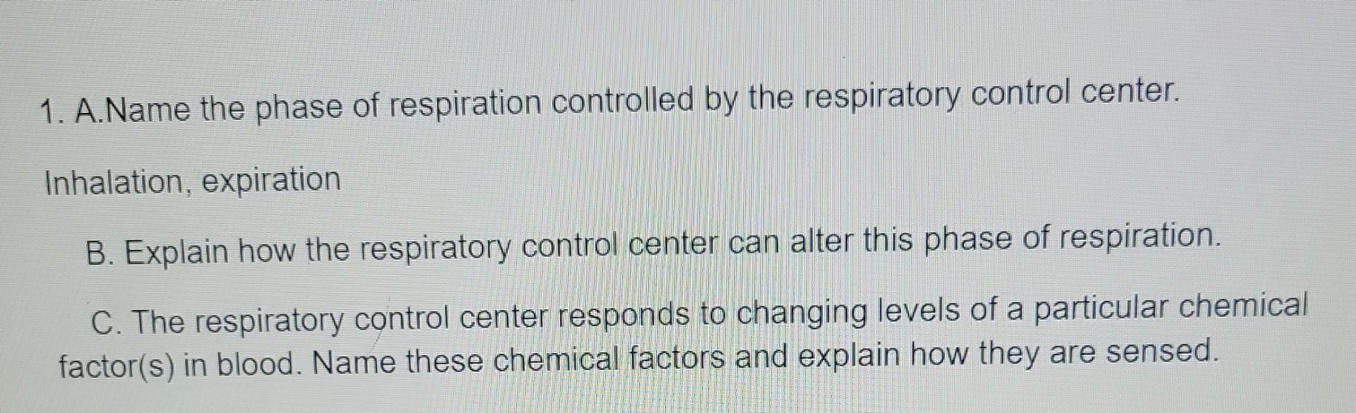 [Solved]: 1. A.Name the phase of respiration contr