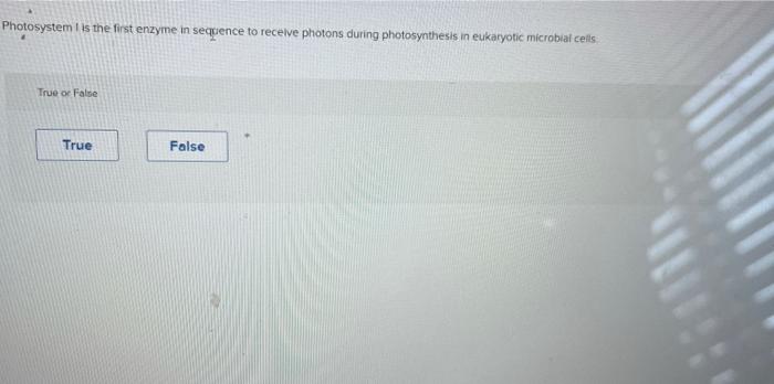 Solved Please move the correct terms into their | Chegg.com
