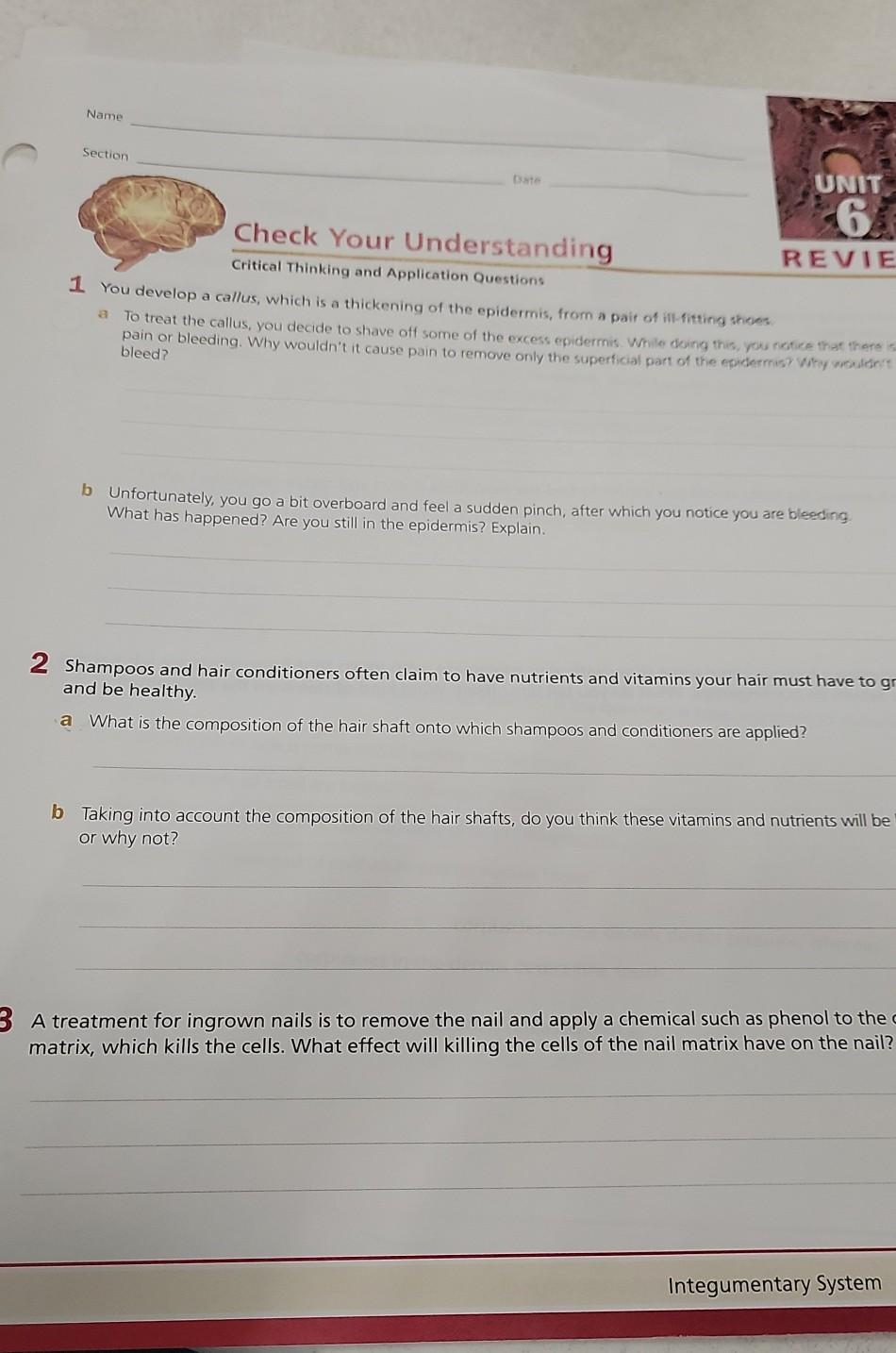 Solved Name Section Date UNIT 6 Check Your Understanding | Chegg.com