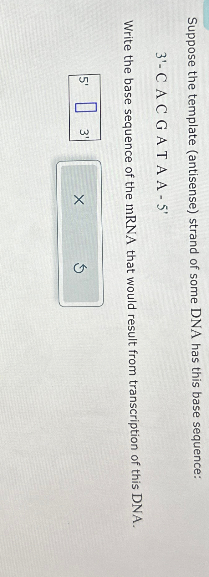 Solved Suppose the template (antisense) ﻿strand of some DNA | Chegg.com