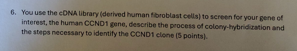 Solved You use the cDNA library (derived human fibroblast | Chegg.com