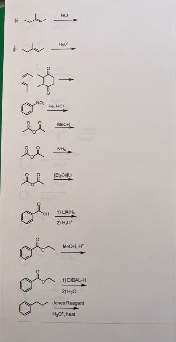 Solved -rxn name -important things that are happening in the | Chegg.com