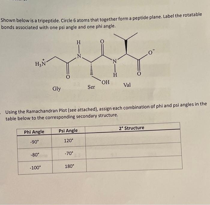 Solved Shown below is a tripeptide. Circle 6 atoms that | Chegg.com