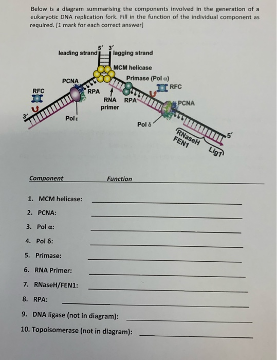 Solved Below is a diagram summarising the components | Chegg.com