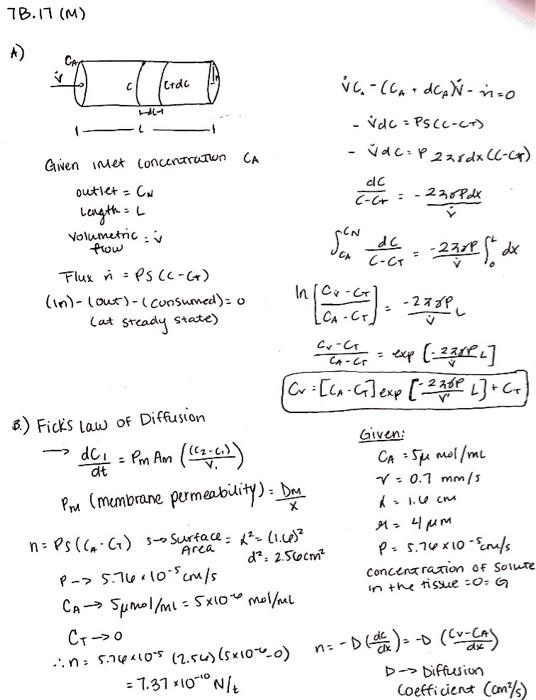 78.17(M) Consider the case of a solute diffusing out | Chegg.com