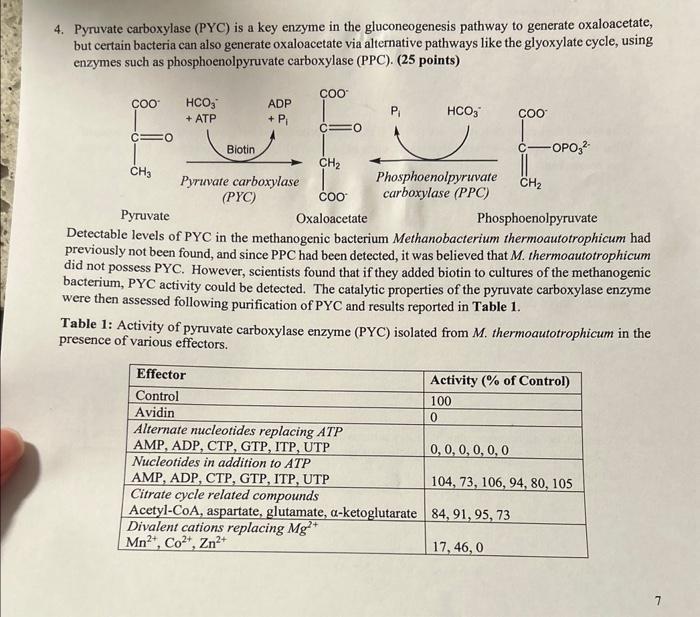 4. Pyruvate carboxylase (PYC) is a key enzyme in the | Chegg.com