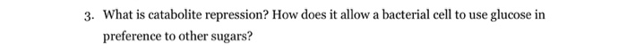 Solved 3. What is catabolite repression? How does it allow a | Chegg.com