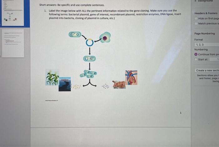 [Solved]: Help! Short answers: Be specific and use complete