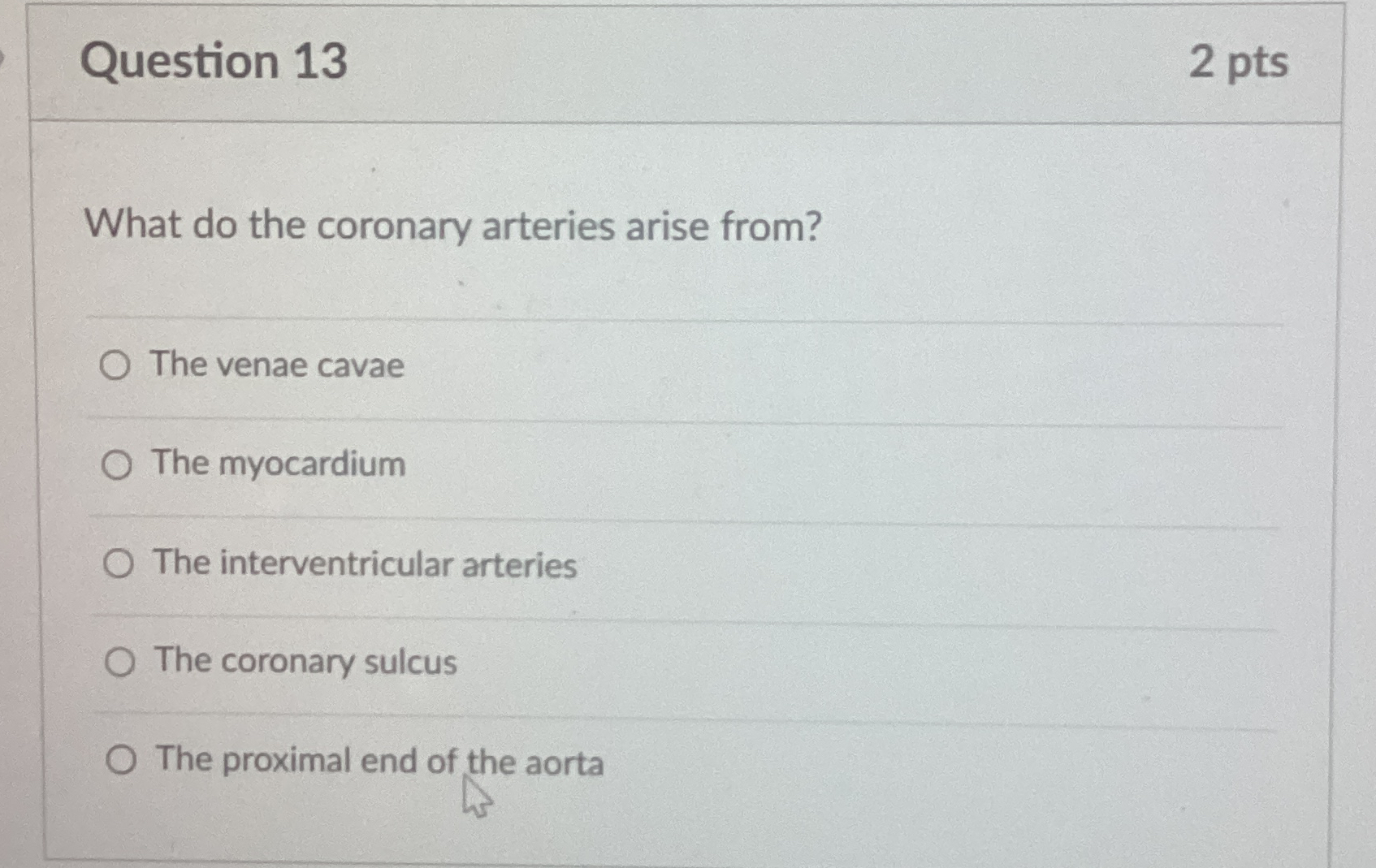 Solved Question 132 ﻿ptsWhat do the coronary arteries arise | Chegg.com