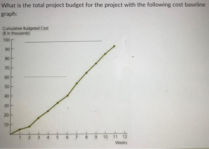 Solved What is the total project budget for the project with | Chegg.com