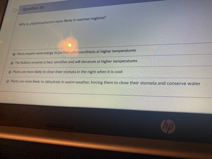 Solved 16 | Chegg.com