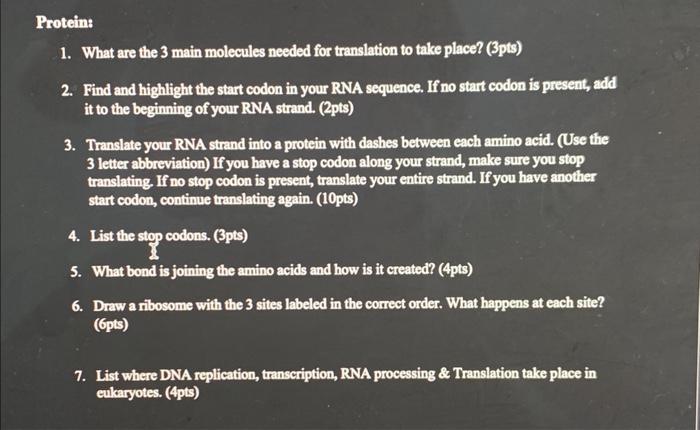 Solved for both strands. (Label strands: template \& | Chegg.com