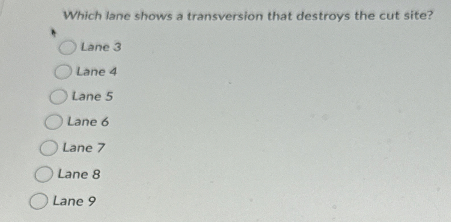Solved Which lane shows a transversion that destroys the cut | Chegg.com