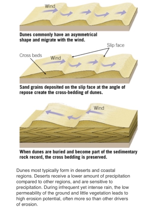 Solved: The Direction That The Wind Blows Can Shift Minute... | Chegg.com