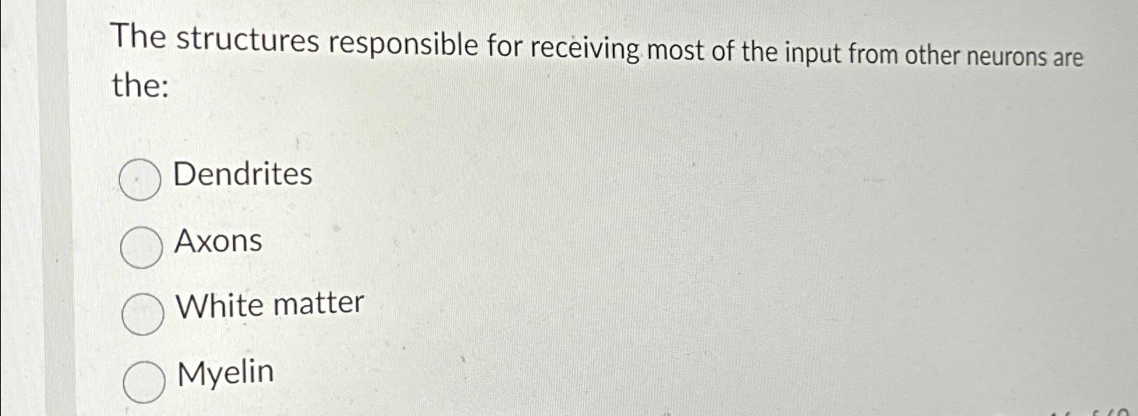 Solved The structures responsible for receiving most of the | Chegg.com
