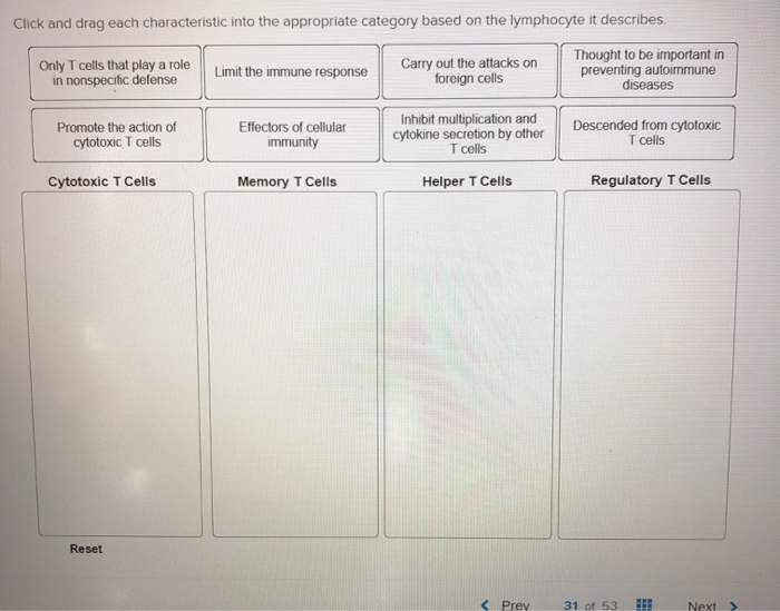 Solved Click and drag each characteristic into the | Chegg.com