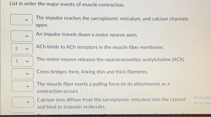 Solved List in order the major events of muscle contraction. | Chegg.com