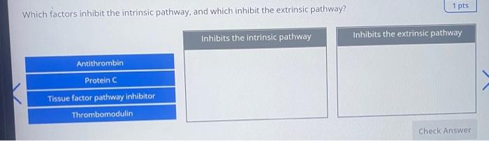 Solved select annotate and use the tools to circle the | Chegg.com