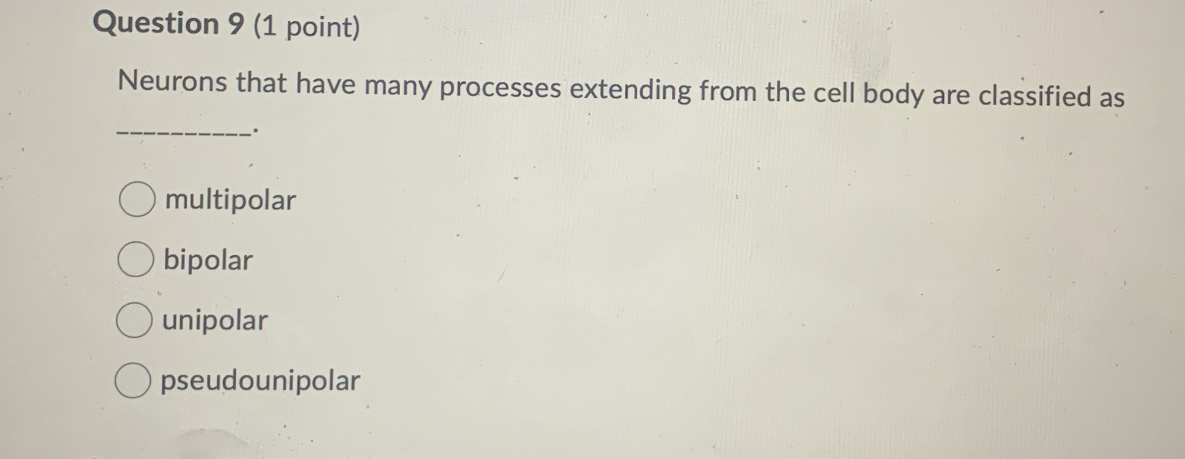 Solved Question 9 (1 ﻿point)Neurons that have many processes | Chegg.com