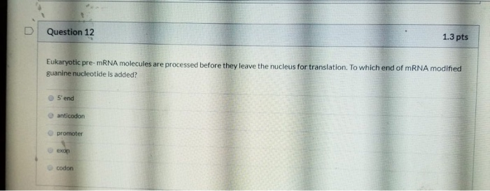Solved Question 12 1.3 pts Eukaryotic pre-mRNA molecules are | Chegg.com