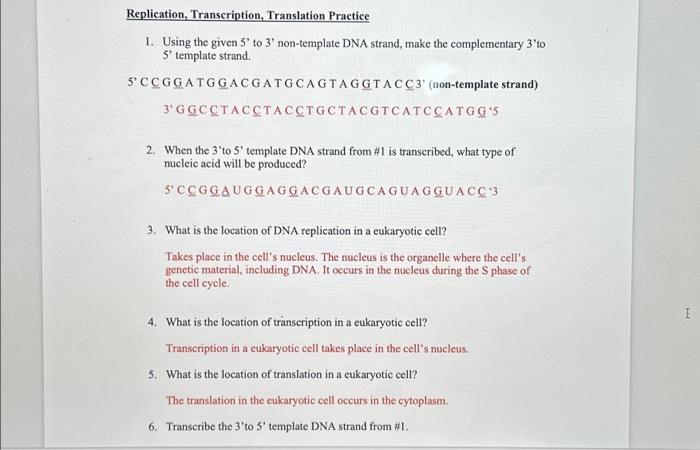 Solved Replication, Transcription, Translation Practice 1. | Chegg.com