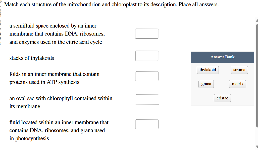 Solved Match each structure of the mitochondrion and | Chegg.com