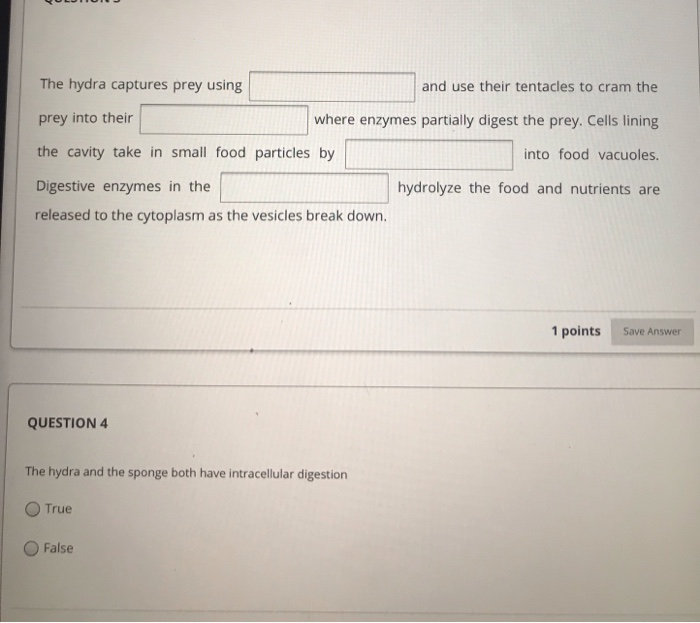 Solved The hydra captures prey using and use their tentacles | Chegg.com