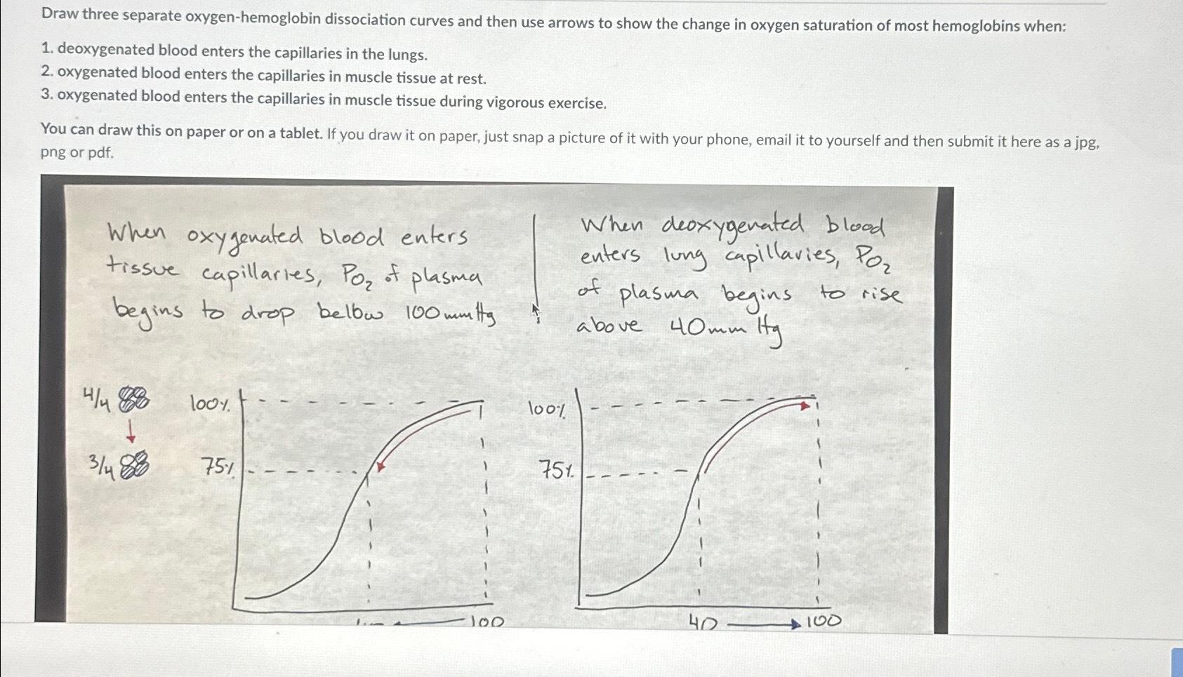 Solved Draw three separate oxygen-hemoglobin dissociation | Chegg.com