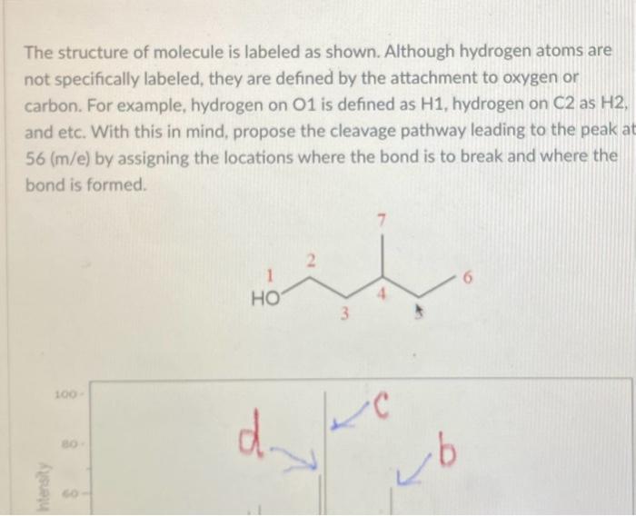 The structure of molecule is labeled as shown. | Chegg.com