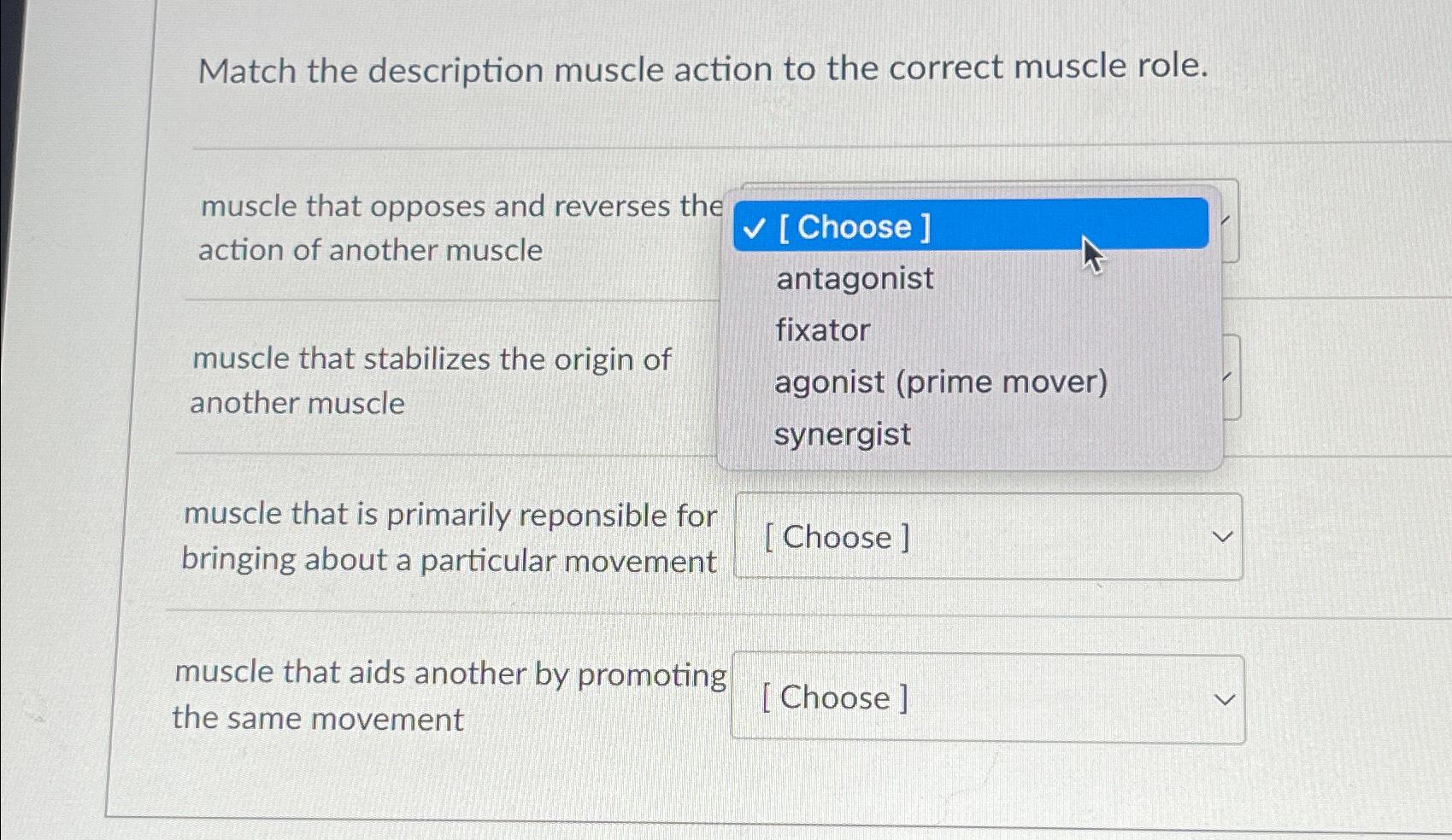 Solved Match the description muscle action to the correct | Chegg.com